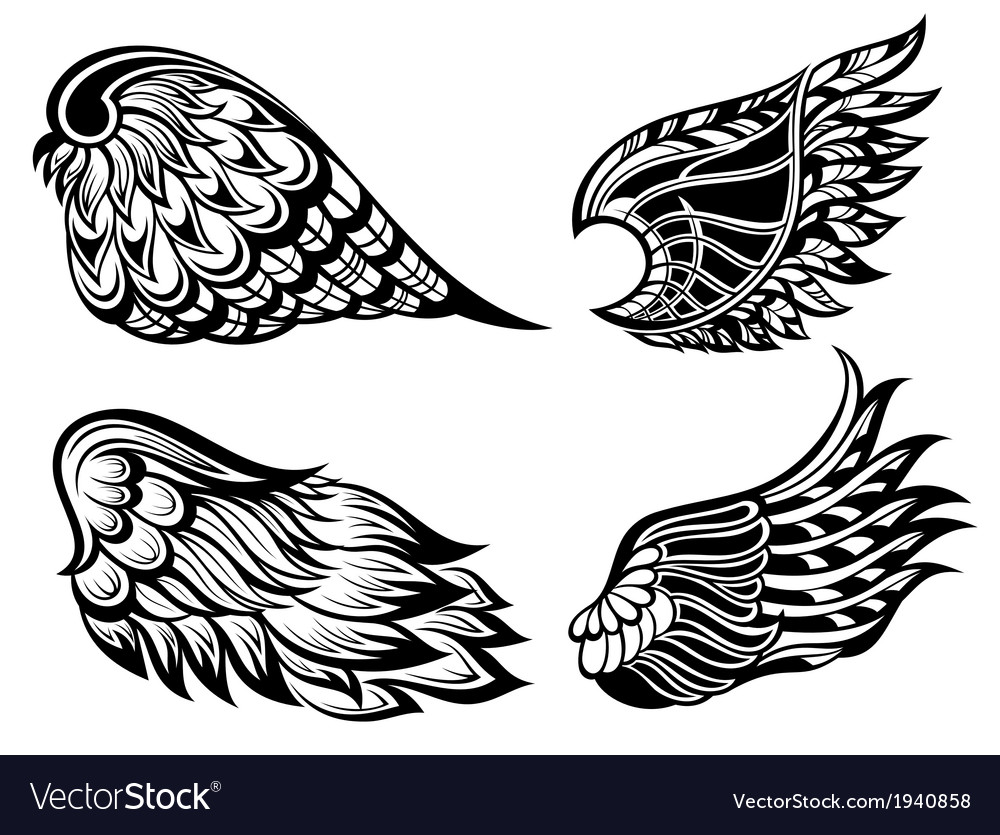 Wings set Royalty Free Vector Image - VectorStock