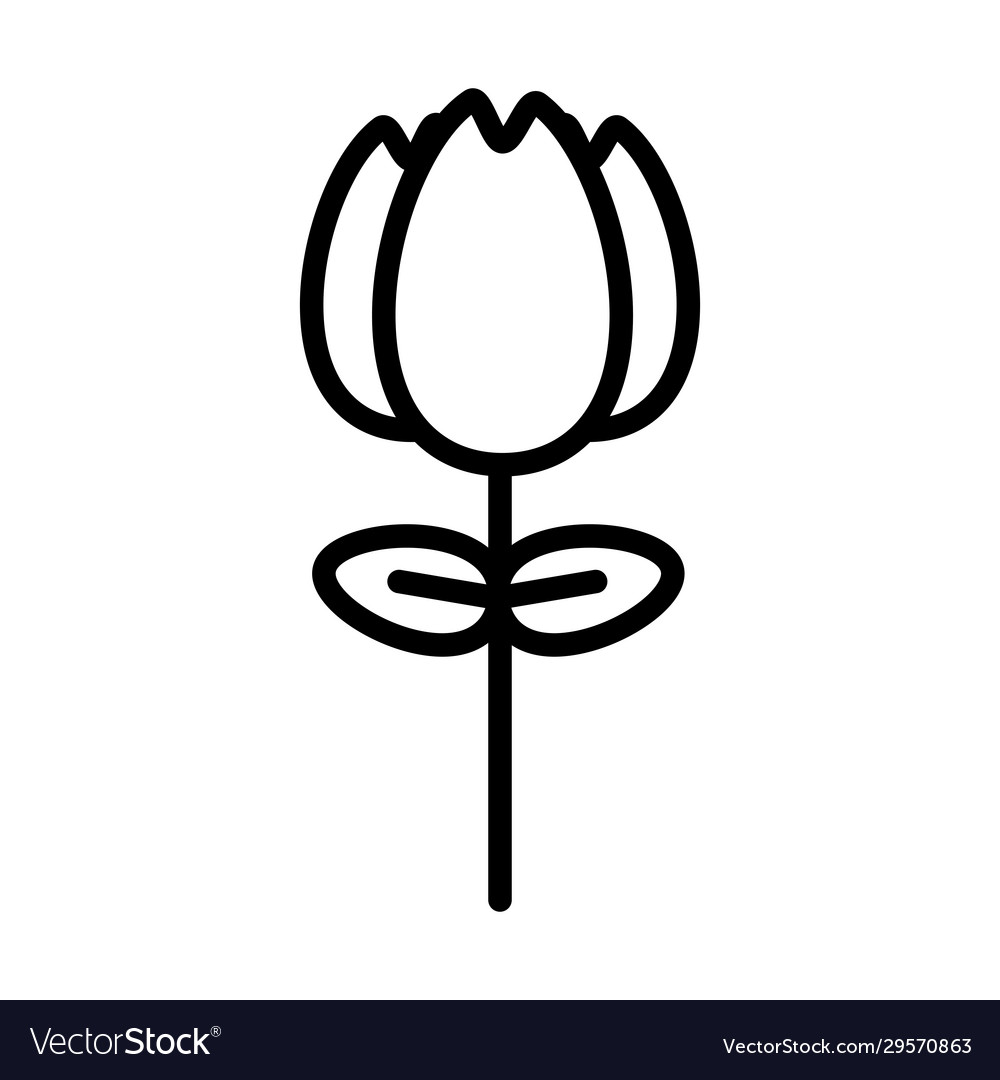 Beautiful rose flower garden spring line style Vector Image