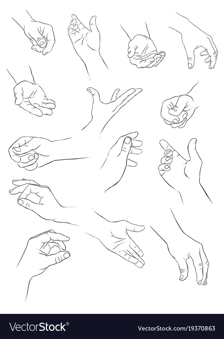 Hands Royalty Free Vector Image - VectorStock