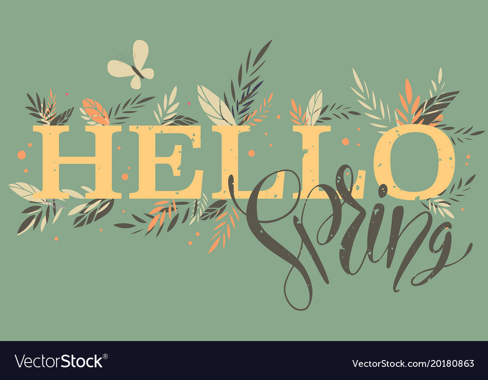 Hello spring words with branches Royalty Free Vector Image