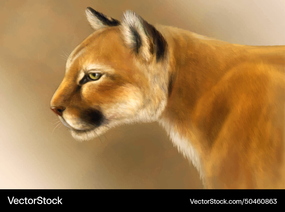 Puma on brown vintage background realistic cougar Vector Image