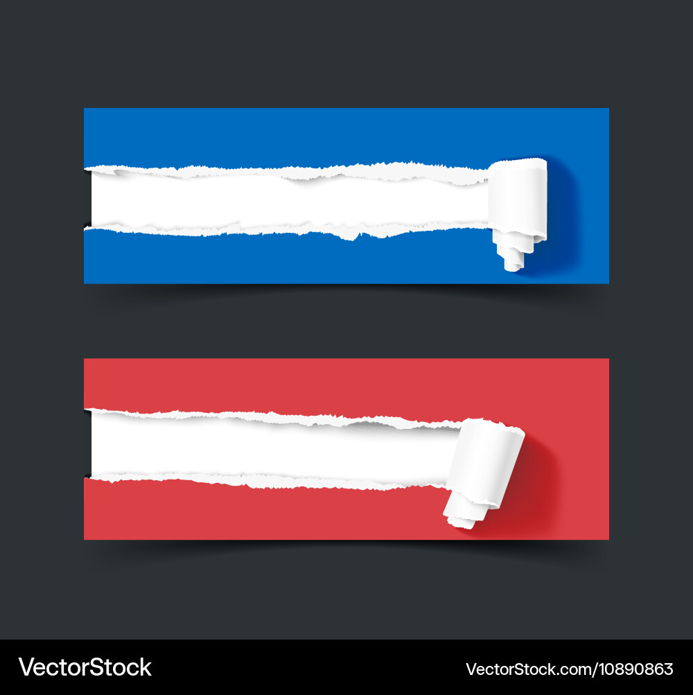 Set of two torn paper banners with rolls Vector Image
