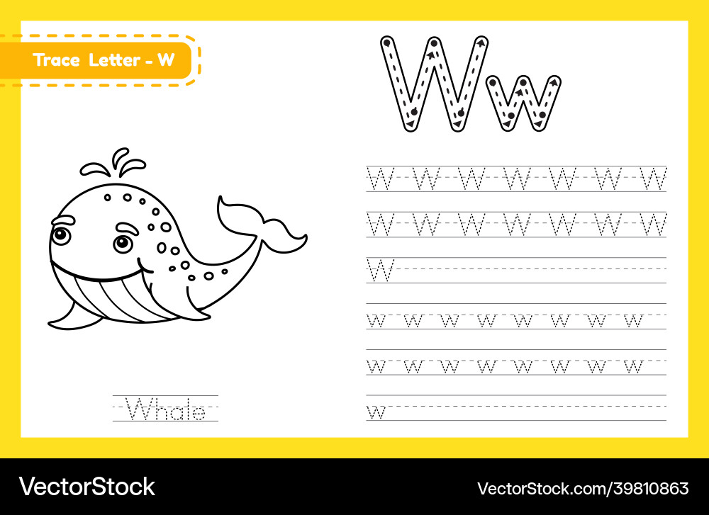 Trace letter w uppercase and lowercase alphabet Vector Image