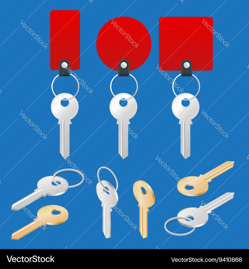 Collection of different house keys isolated Vector Image