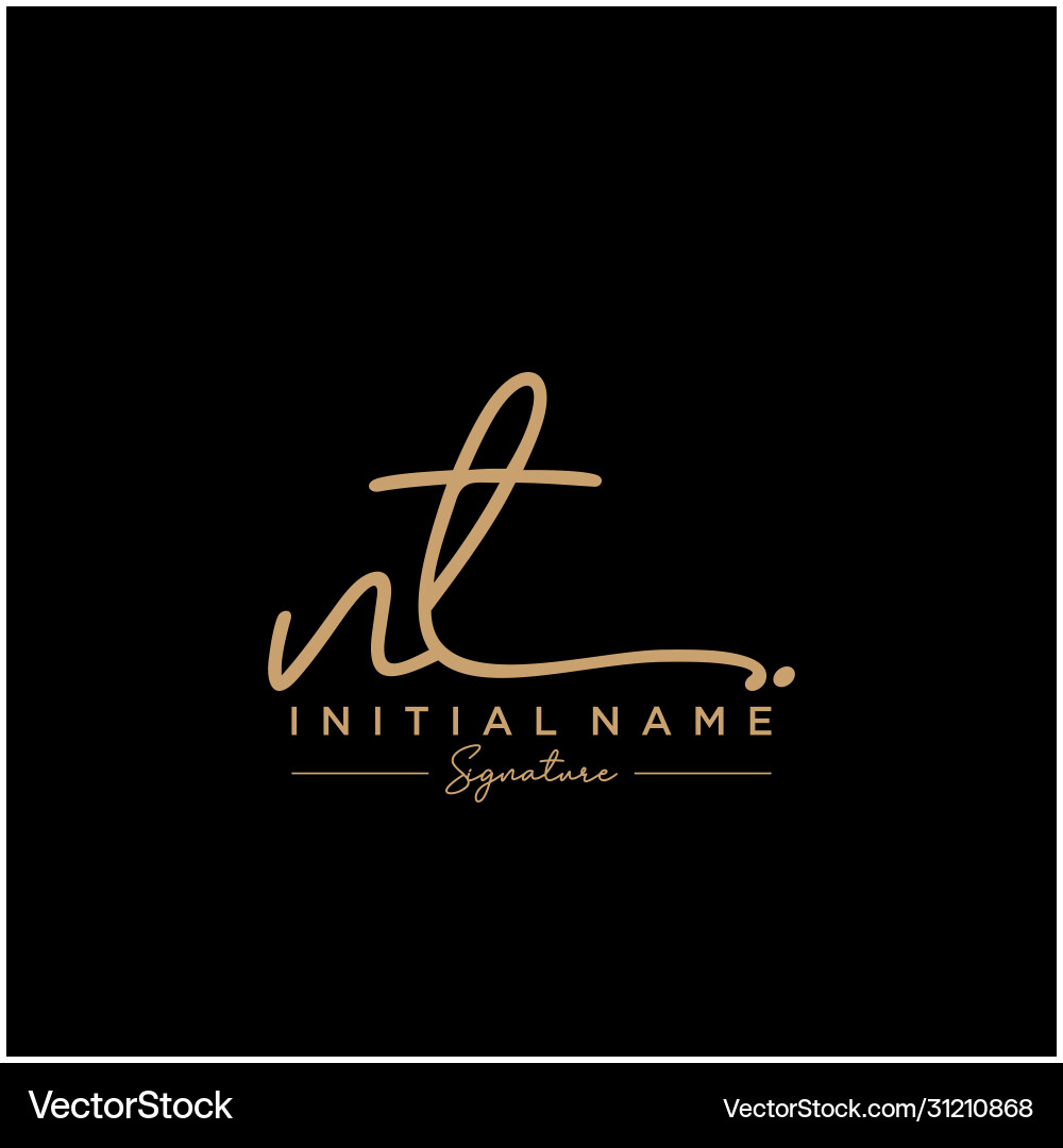 Letter nt signature logo template Royalty Free Vector Image
