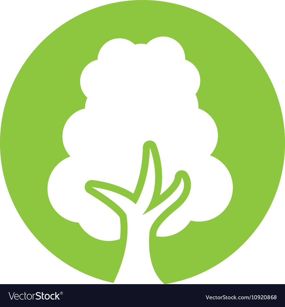 Tree plant forest isolated icon Royalty Free Vector Image