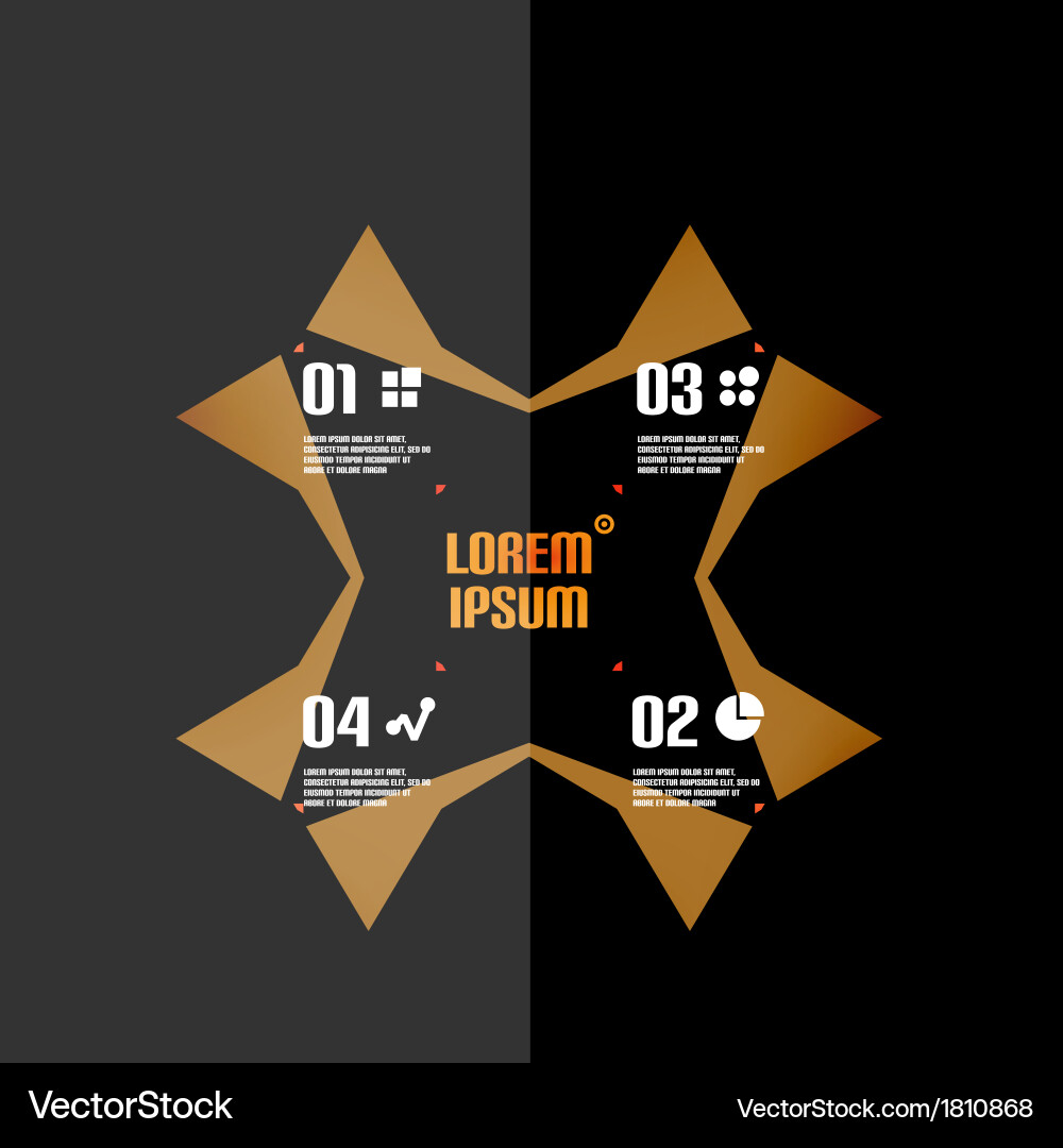 Vintage retro geometric infographic banner Vector Image