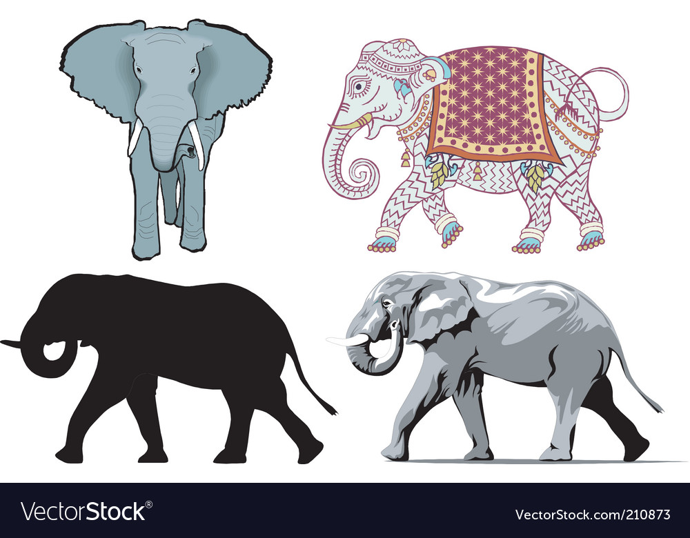 Elephants Royalty Free Vector Image - VectorStock