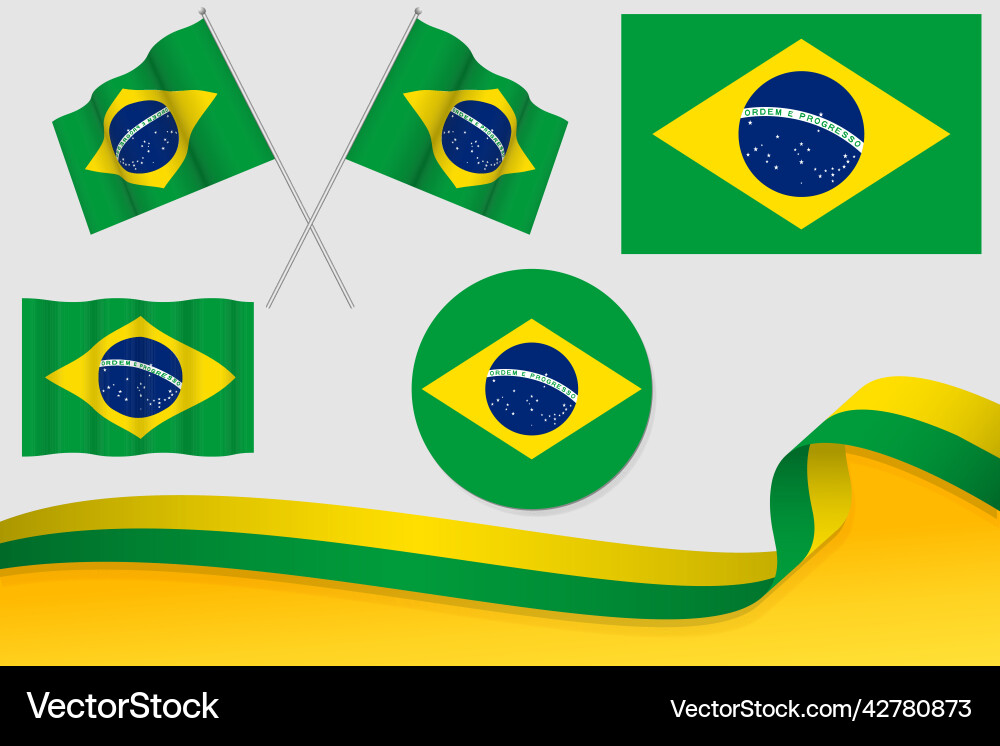 Set of brazil flags in different designs Vector Image