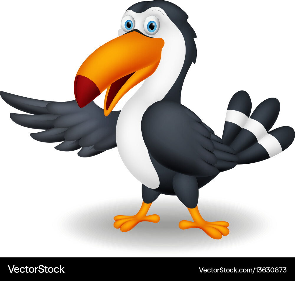 Toucan bird cartoon presenting Royalty Free Vector Image