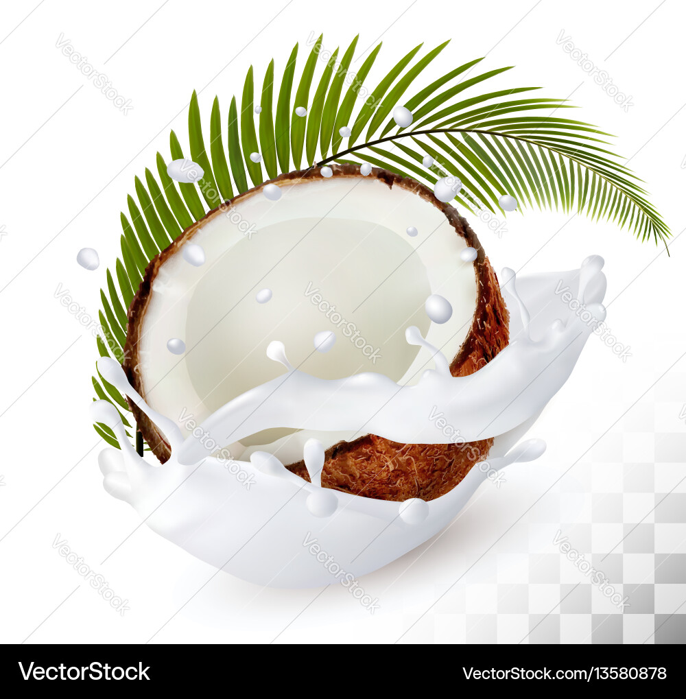 Coconut in a milk splash on transparent Royalty Free Vector