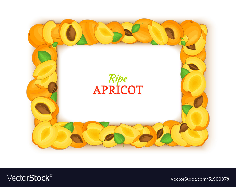 Horizontal rectangle frame composed delicious Vector Image