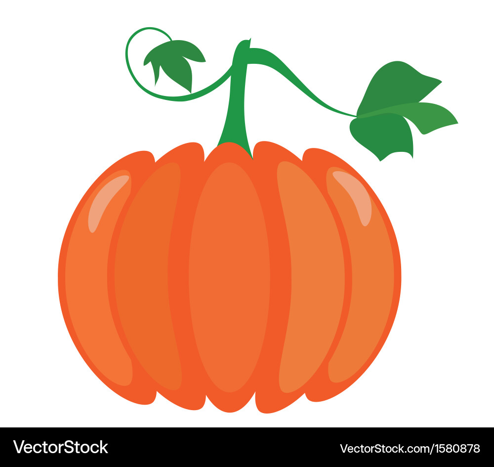 Pumpkin Royalty Free Vector Image - VectorStock