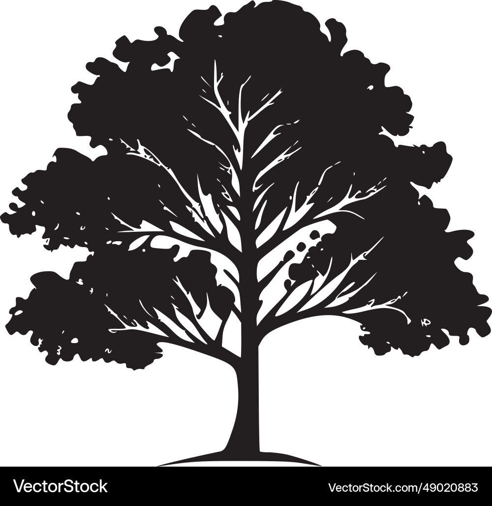 Tree - high quality logo ideal for t-shirt Vector Image