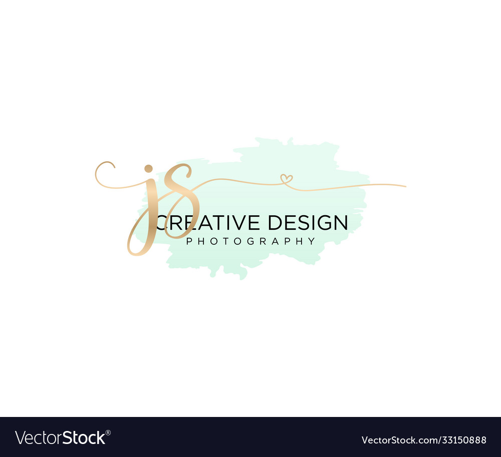 Initial js handwriting logo with brush template Vector Image
