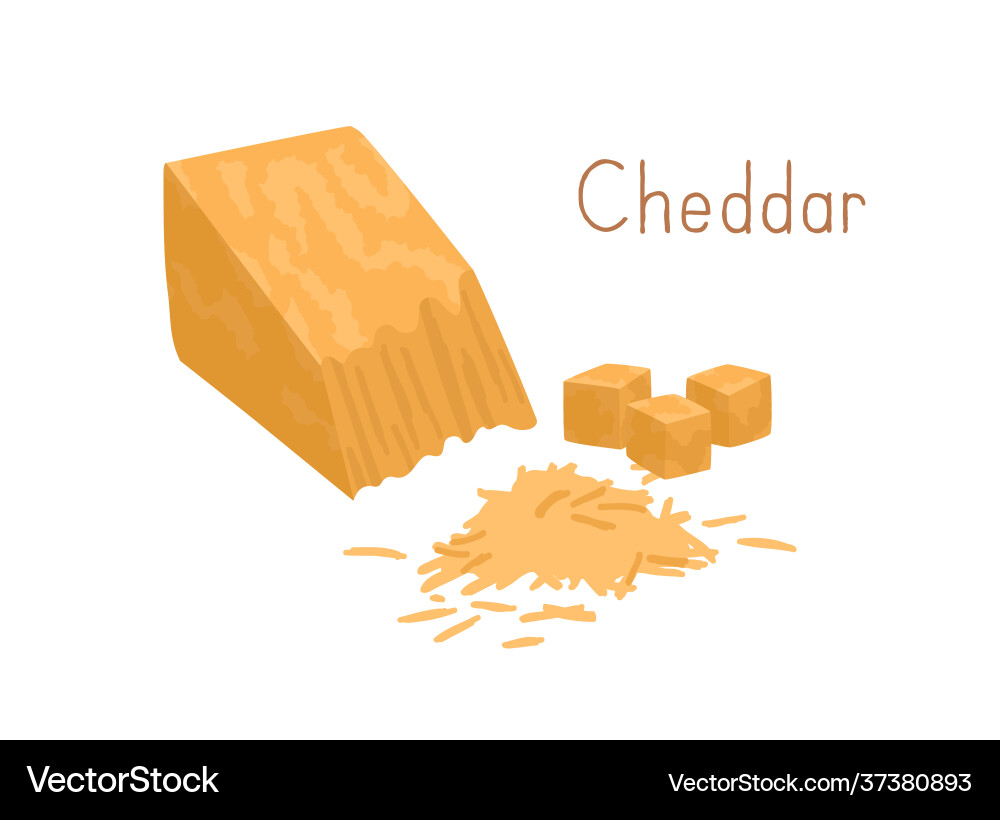 Cheddar pieces and grated hard cheese delicious Vector Image