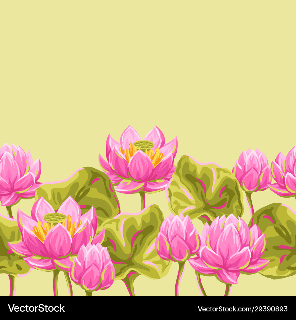 Seamless pattern with lotus flowers water lily Vector Image