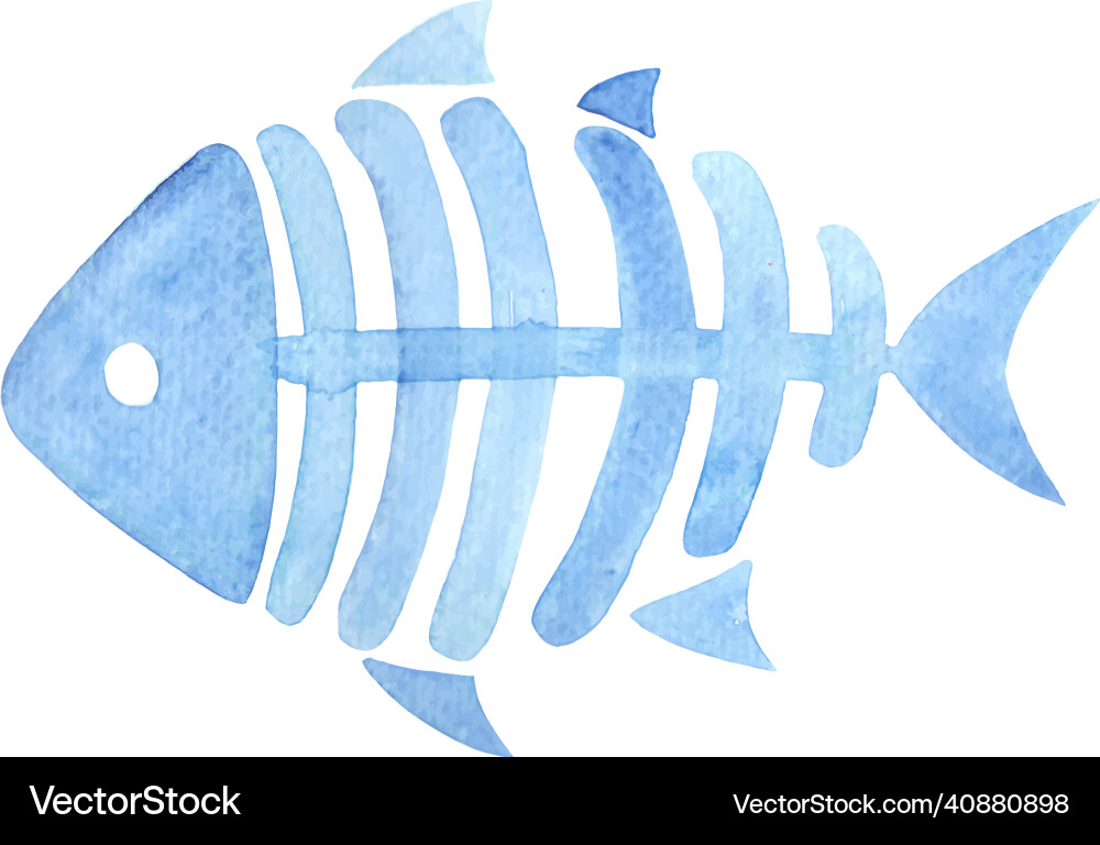 Skeleton ocean fish isolated watercolor Royalty Free Vector