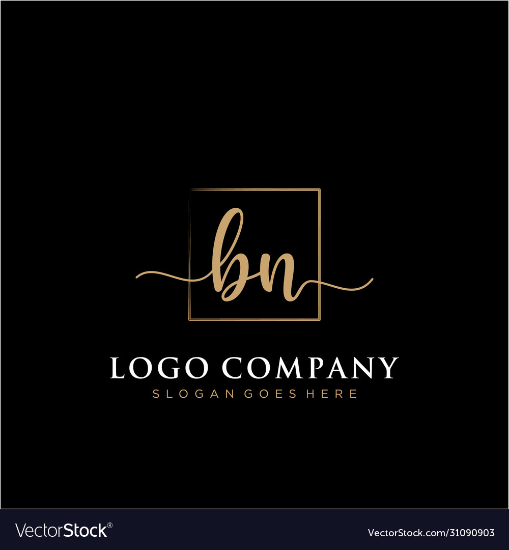 Bn initial handwriting logo with rectangle Vector Image