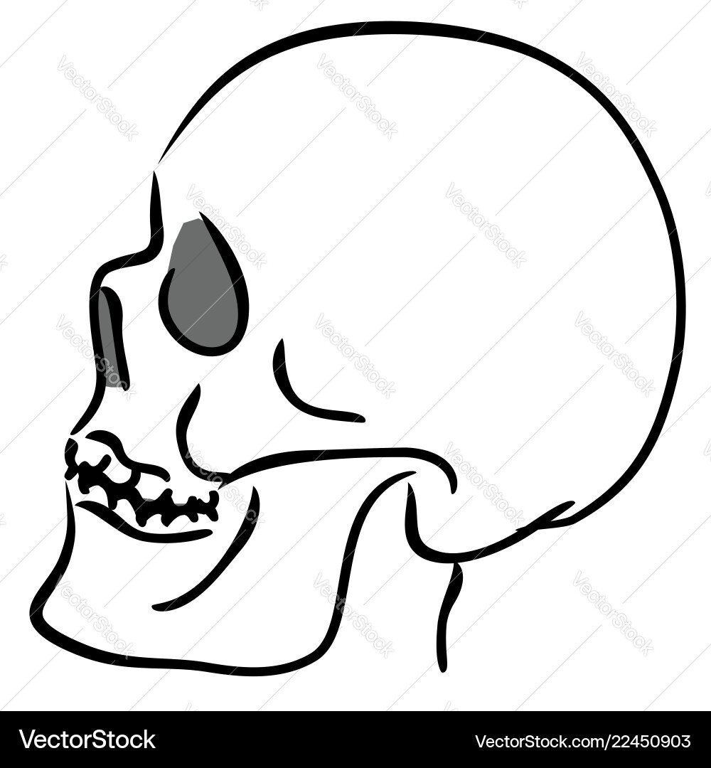 Skull Profile Vector