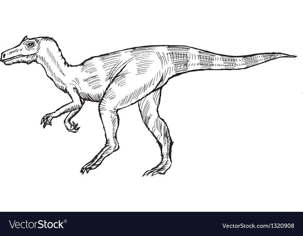 Allosaurus Royalty Free Vector Image - VectorStock