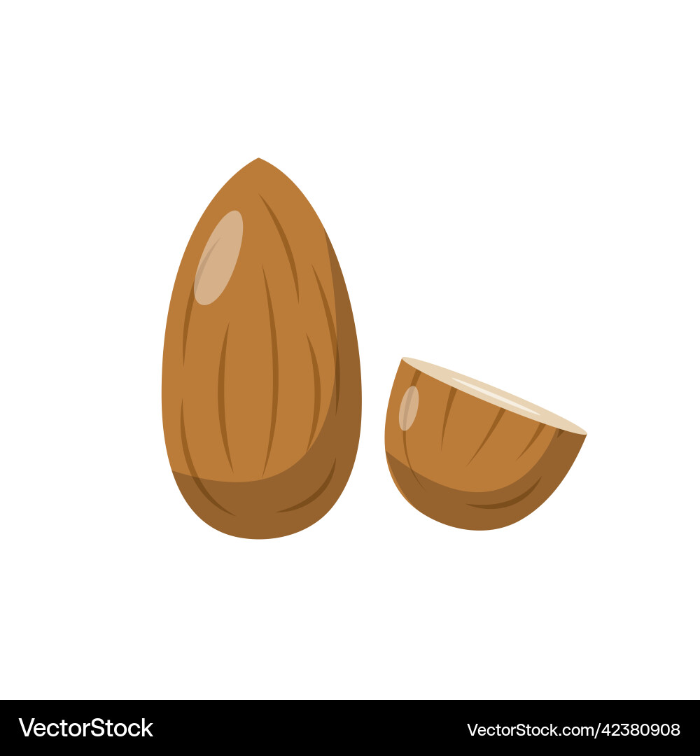 Almond flat clean icon design element Royalty Free Vector