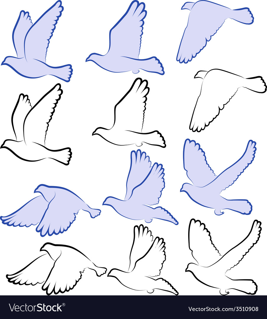 Dove Royalty Free Vector Image - VectorStock
