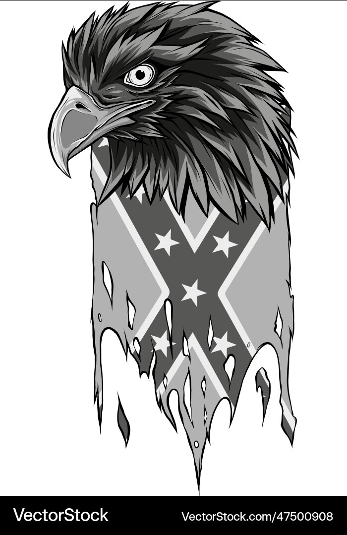Monochromatic of confederate flag Royalty Free Vector Image