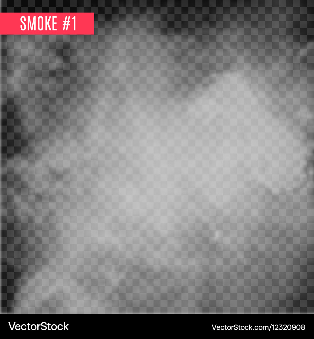 Smoke special effect on transparent fog isolated Vector Image