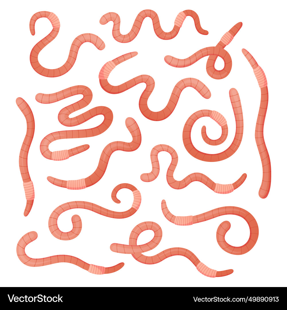 Earthworm cartoon soil worm farm compost Vector Image