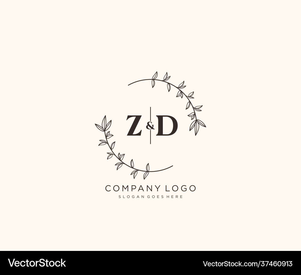 Initial zd letters beautiful floral feminine Vector Image