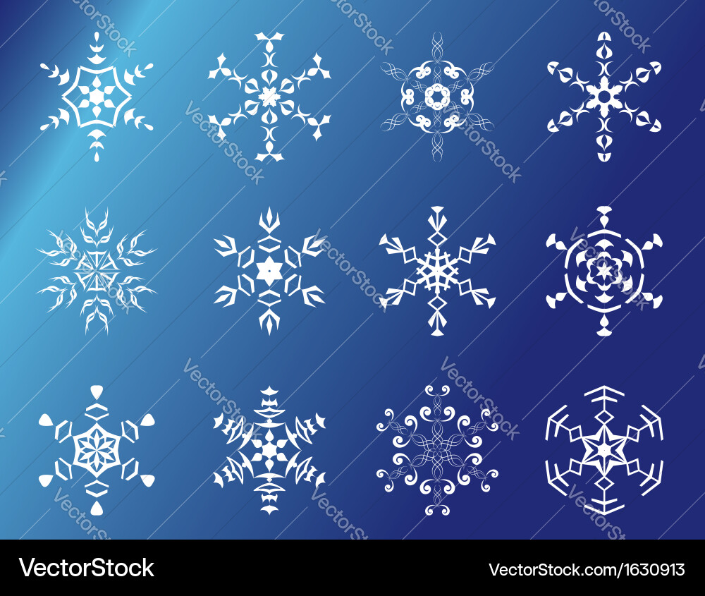 Set of 12 snowflakes Royalty Free Vector Image
