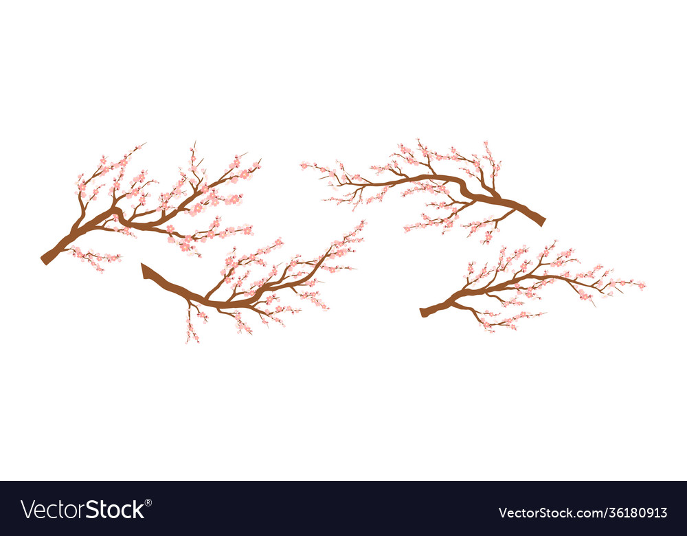 Set spring blooming tree branches branch Vector Image