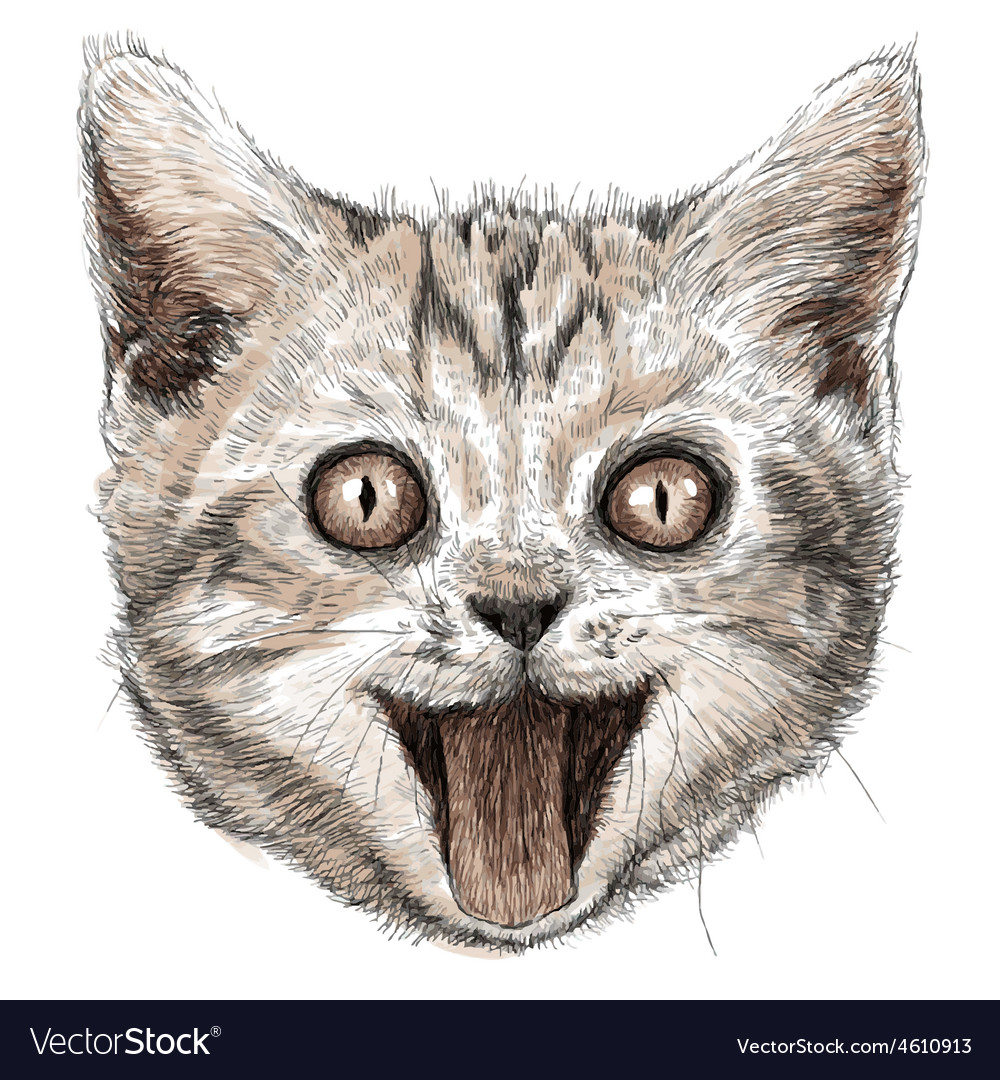 Smiling cat 01 Royalty Free Vector Image - VectorStock