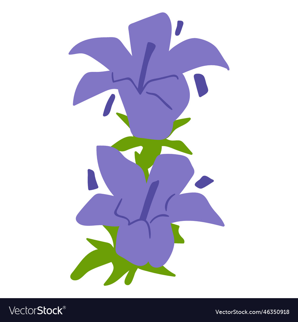 Beautiful violet flowers semi flat Royalty Free Vector Image