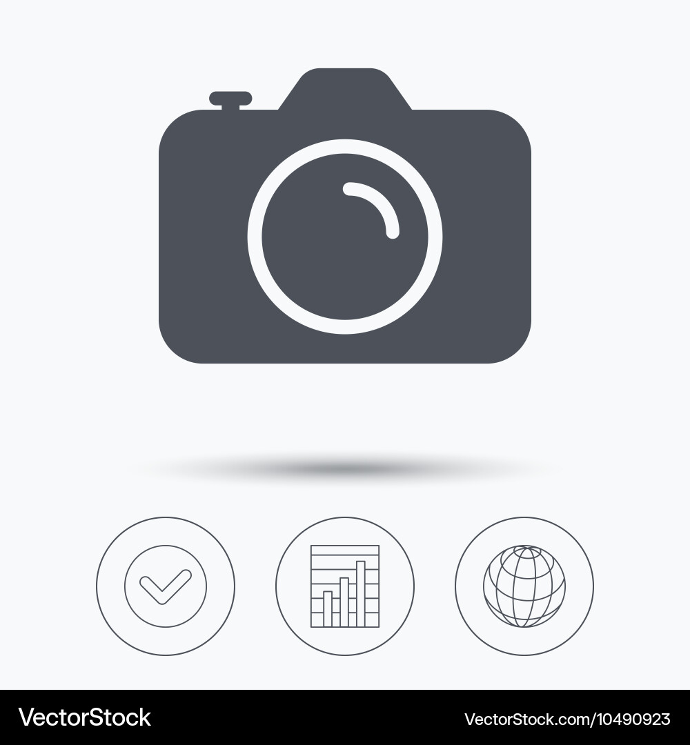 Camera icon professional photocamera sign Vector Image