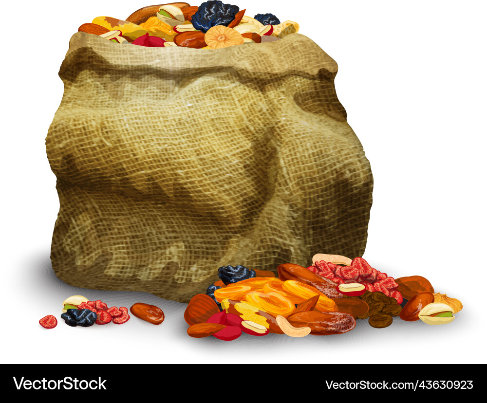 Dried fruits in sack Royalty Free Vector Image