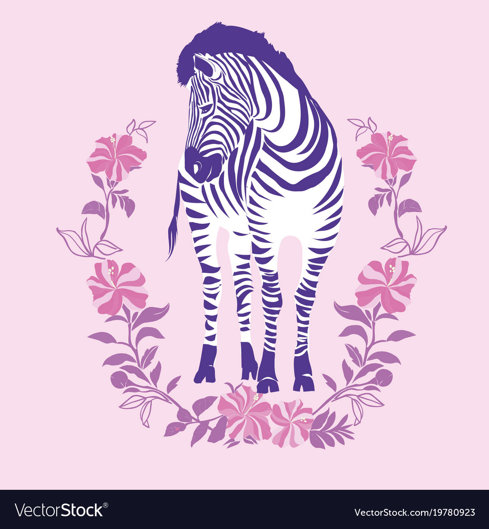 Zebra Royalty Free Vector Image - VectorStock