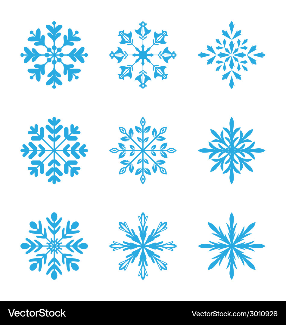 Collection of variation snowflakes isolated Vector Image