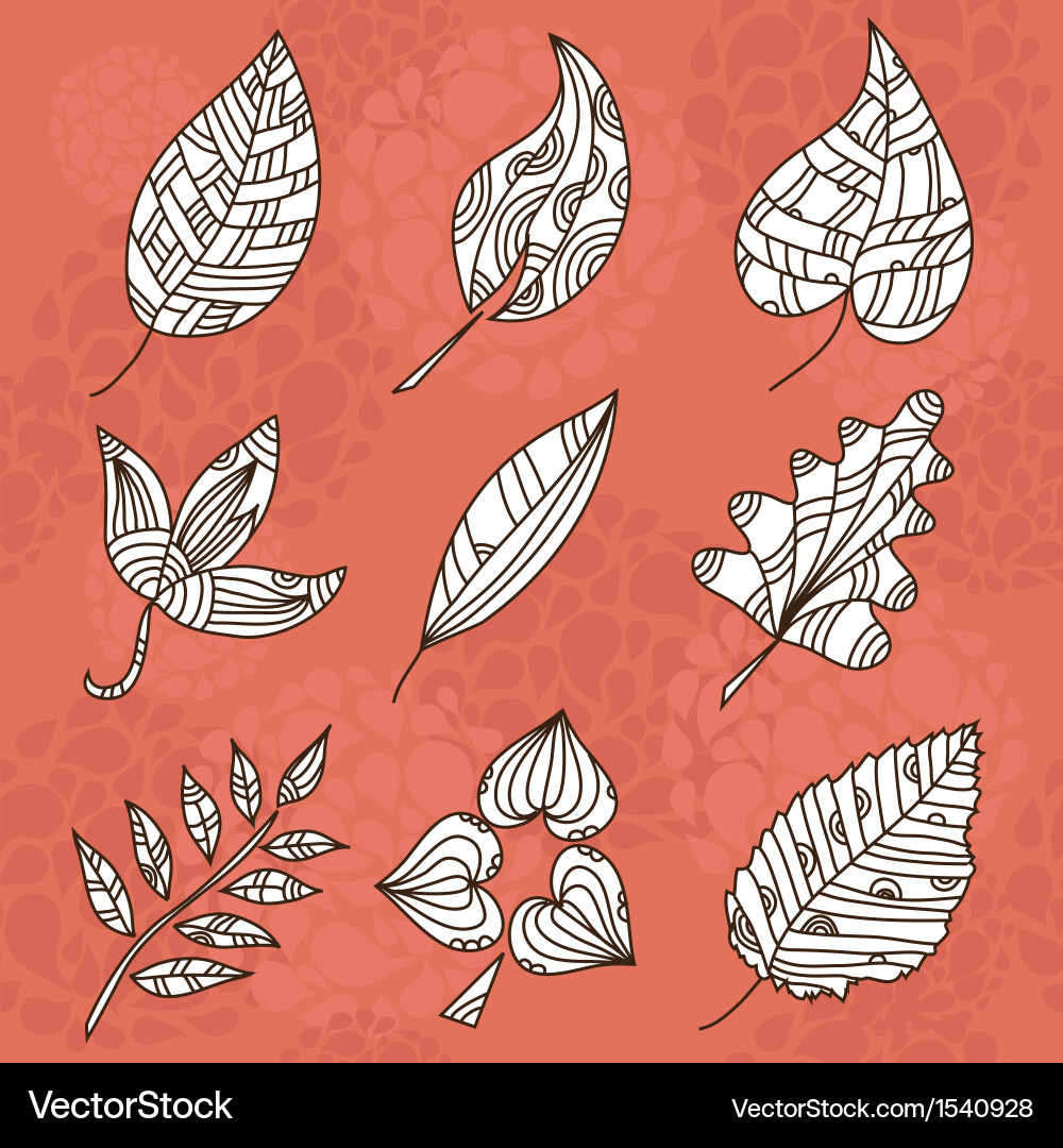 Set of 9 decorative leaves Royalty Free Vector Image