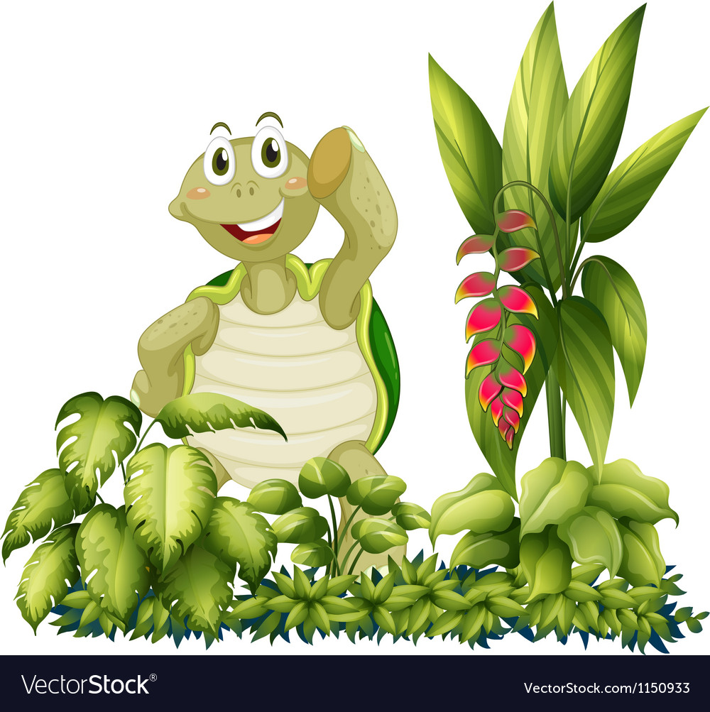 A turtle standing Royalty Free Vector Image - VectorStock