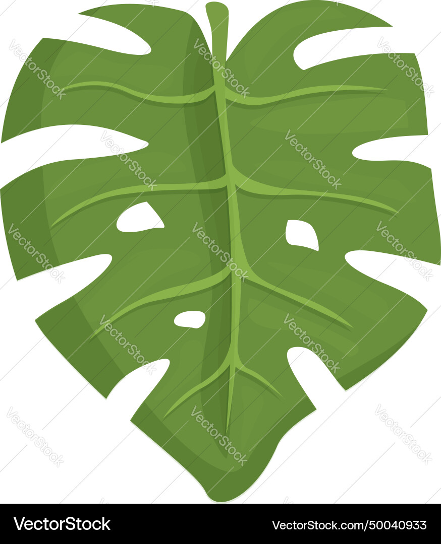 Monstera icon cartoon exotic palm leaf Royalty Free Vector