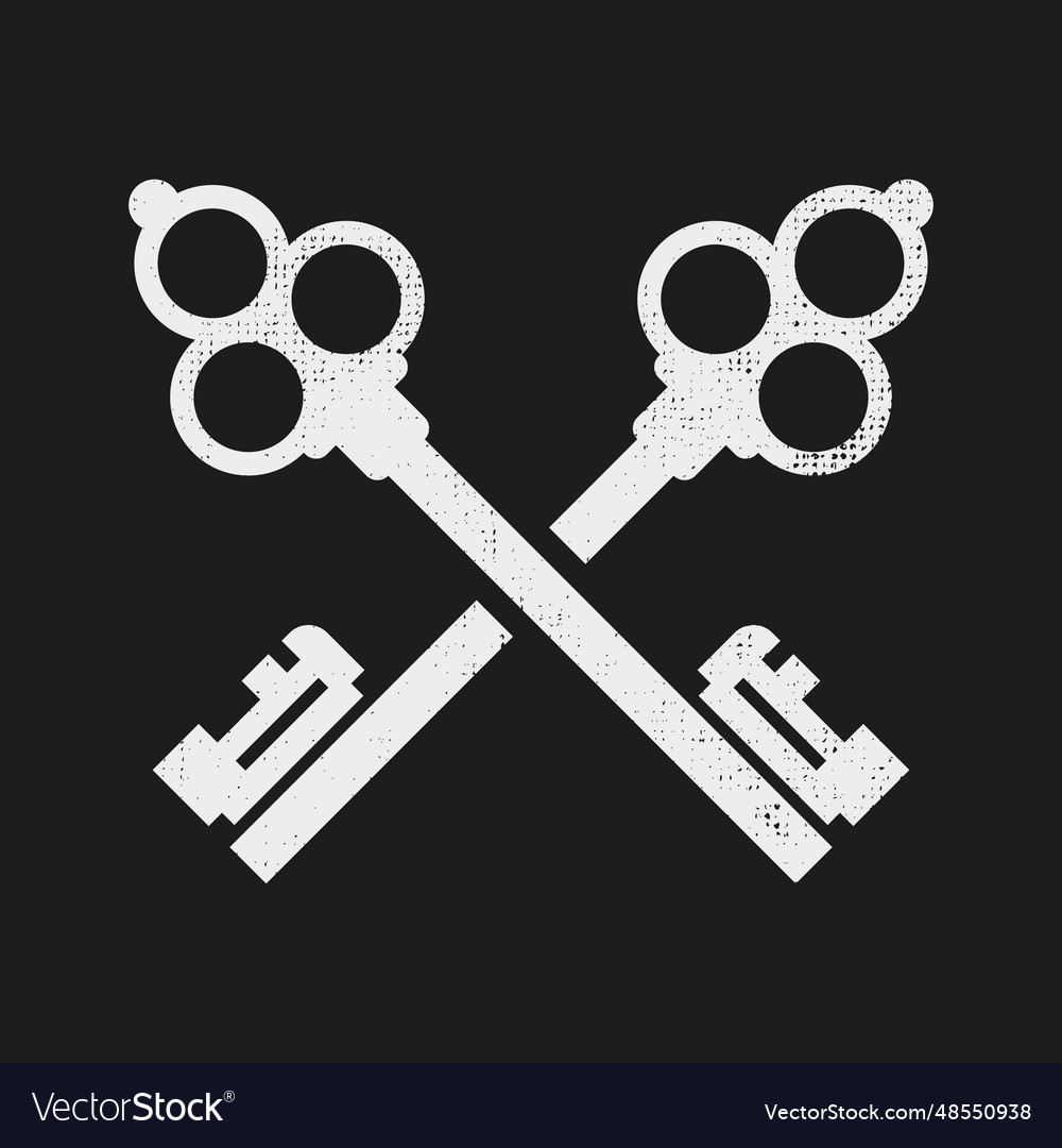 Two vintage retro crossed keys Royalty Free Vector Image