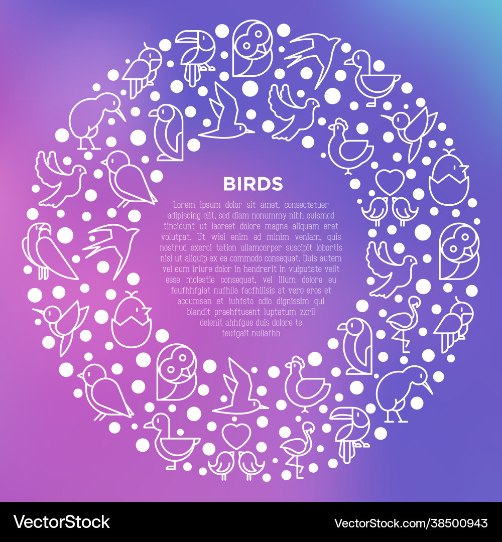 Birds concept in circle with thin line icons Vector Image