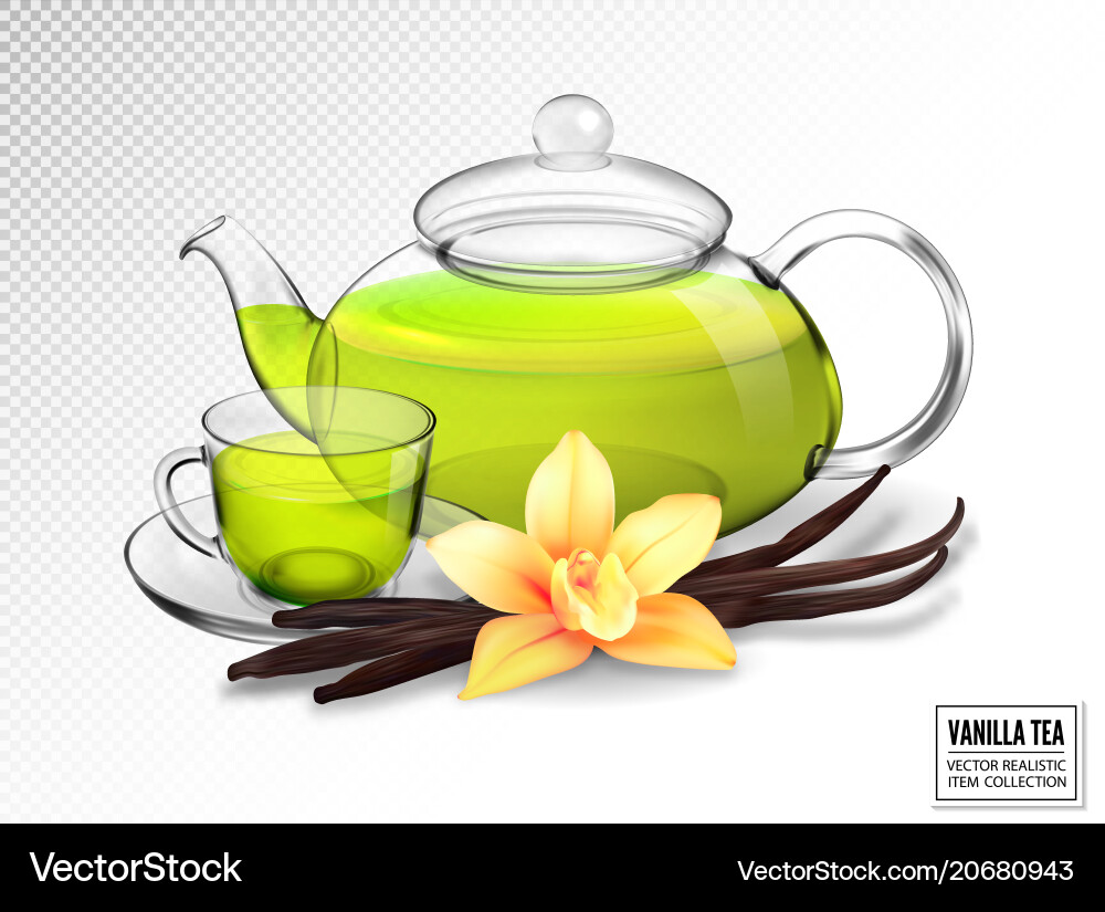 Composition a glass cup and tea pot with green Vector Image