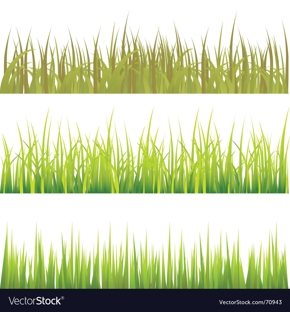 Grass background Royalty Free Vector Image - VectorStock