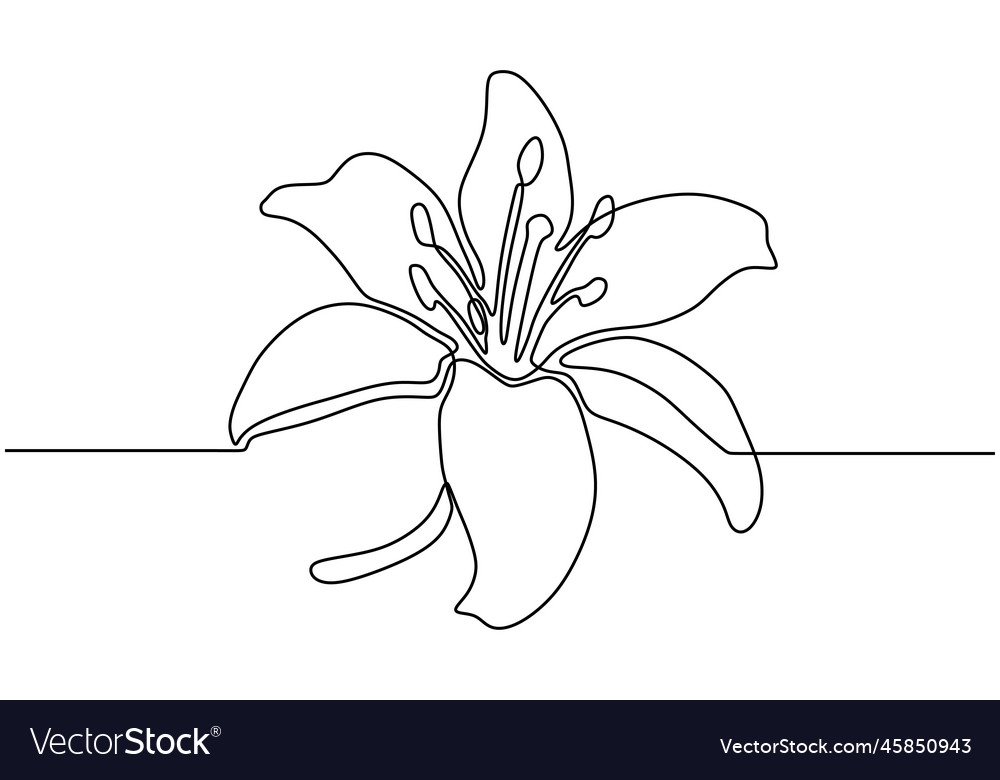 Hand Drawn Orchid Flowers Continuous One Line Vector Image