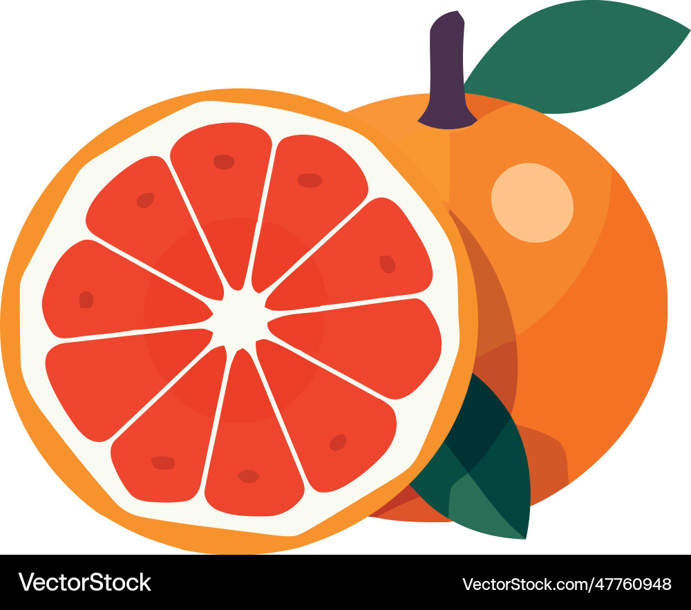 Juicy grapefruit slice symbol of freshness Vector Image