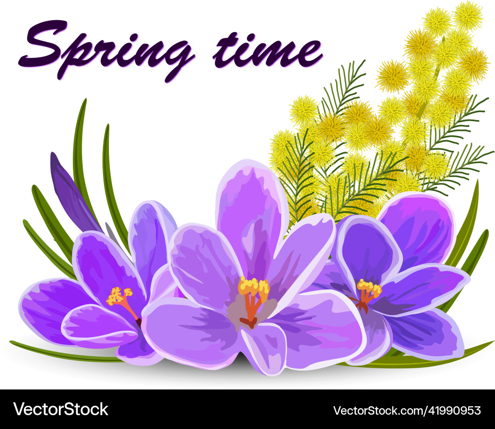 Bouquet of spring flowers Royalty Free Vector Image