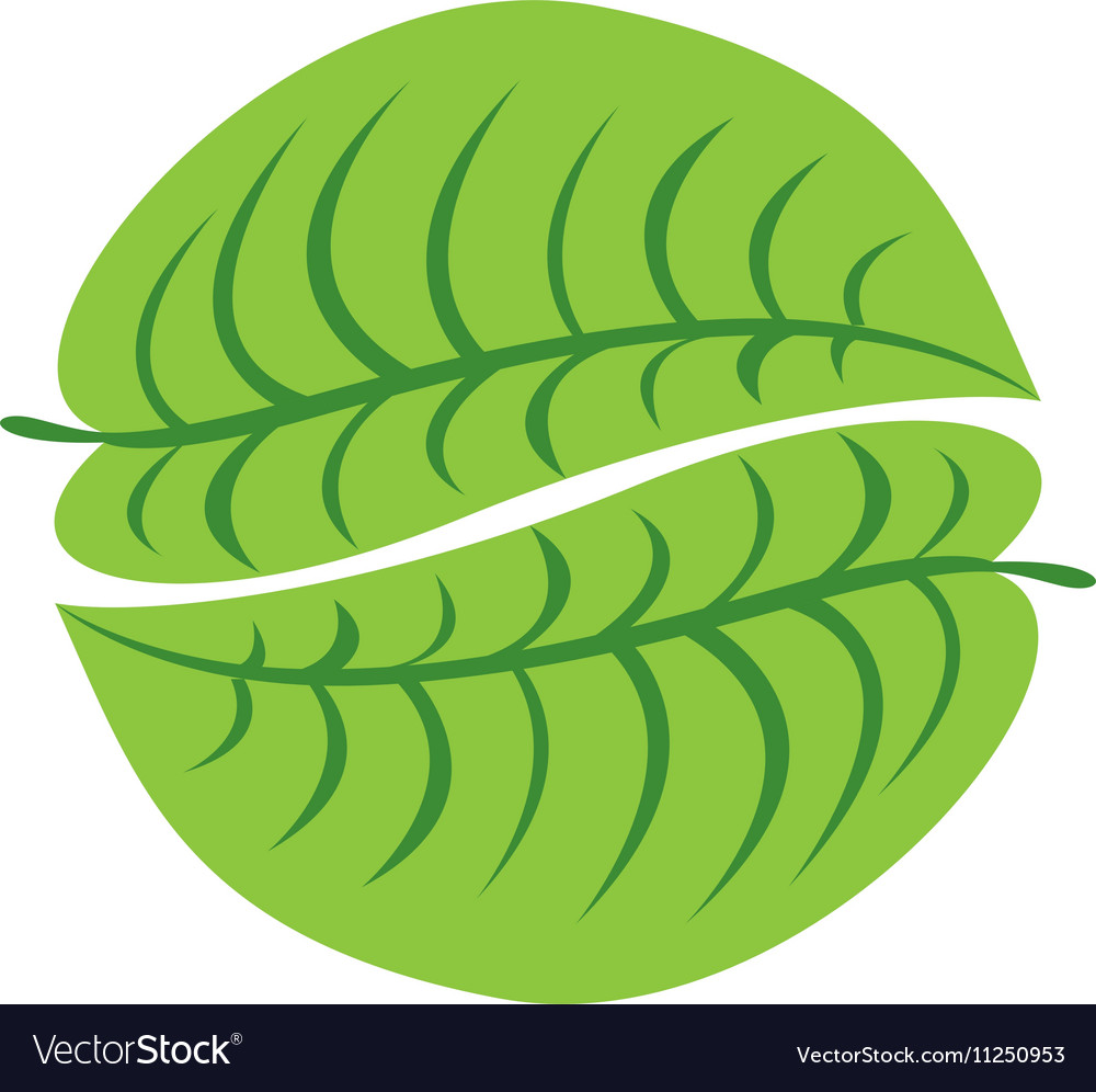 Simple leaf icon image Royalty Free Vector Image
